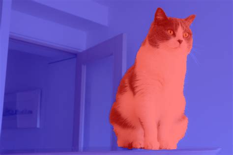 Introduction To Opencv Programming Using Python