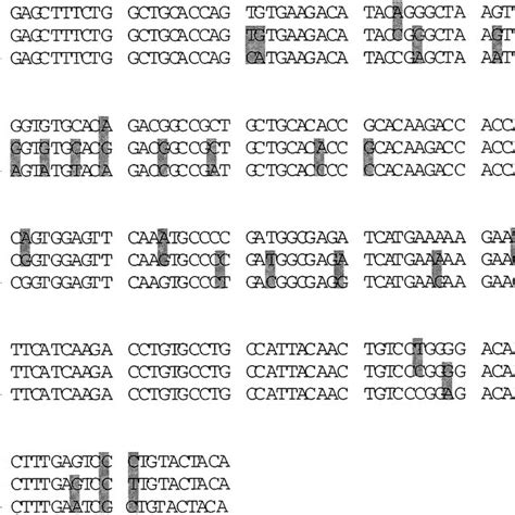 Comparison Of Rat Connective Tissue Growth Factor Ctgf Cdna Sequence