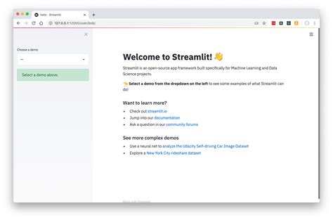 running streamlit inside jupyterhub the startup medium