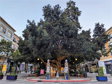 Things To Do In San Jose California Money We Have