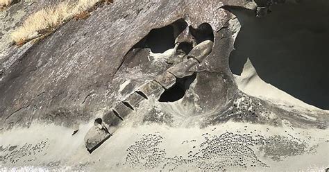 Fossils Album On Imgur