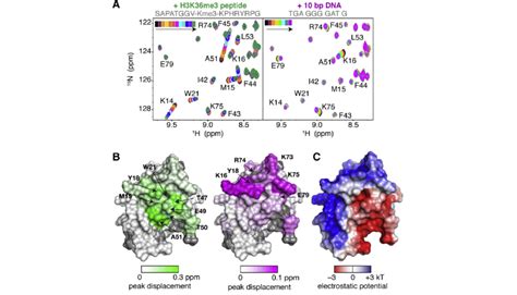 Example Of CSP Based Interaction Surface Mapping Taken From Van Nuland Download Scientific