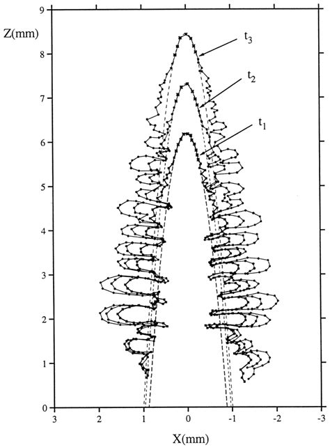 Dendrite Arm A Reconstructed From The Superimposed Images In Fig 5 And Download Scientific