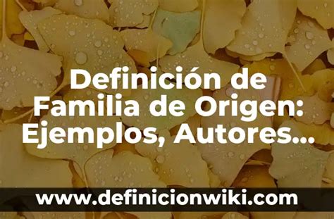 Definición de Familia de Origen Ejemplos Autores y Concepto