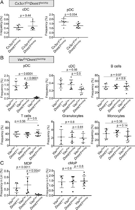 Differentiation Of Hscs Early Progenitors Into Dc Committed Progenitors