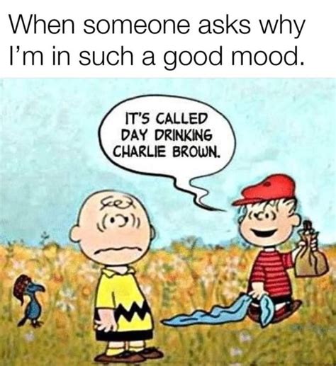 Random Funny Memes Pics