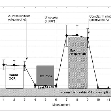 Principle Of Extracellular Flux Analysis Of Mitochondrial Metabolism