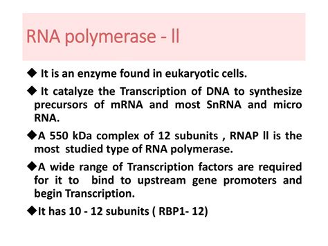 Rna Polymerase And Transcription In Prokaryotes Pptx