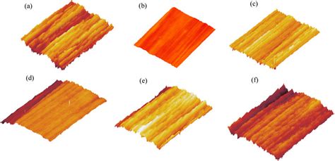 The Three Dimensional Topography Of The Worn Surface Of The Substrate