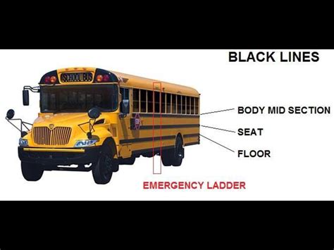 Beginners Skoolie Guide What S The Best Used Bus For A School Bus