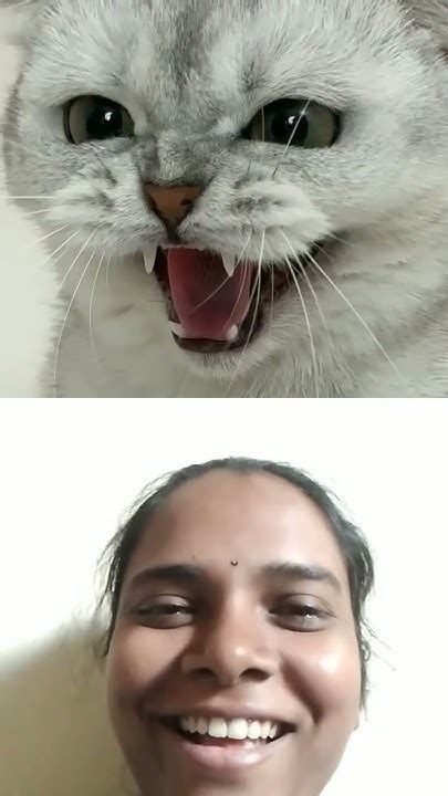 Sonya Funny Video 😂🤣but She Didnt Think About Most Important Thing 🐾