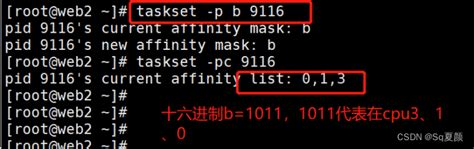 Taskset命令详解taskset Csq夏颜的博客 Csdn博客