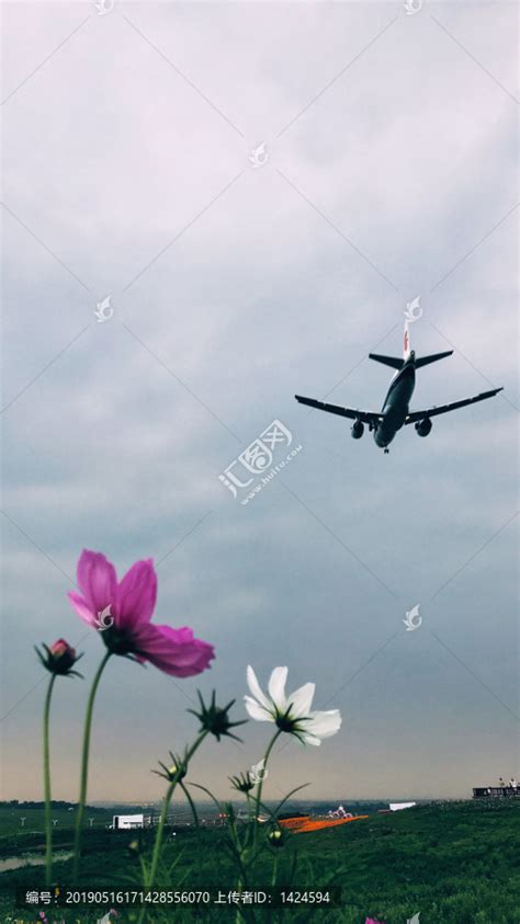 成都双流空港花田国内旅游景点旅游景点摄影汇图网