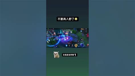 全服最強齊爾🌪️ 不要再入野了😿 傳說對決 Aov 齊爾 全服最強 家裡蹲 Youtube