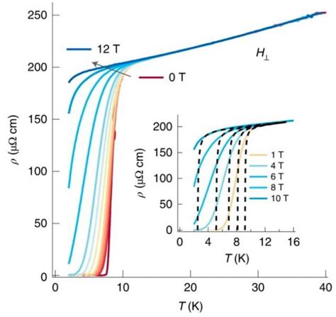 Isotropic Pauli Limited Superconductivity In The Infinite Layer Nickelate Nd0775sr0225nio2