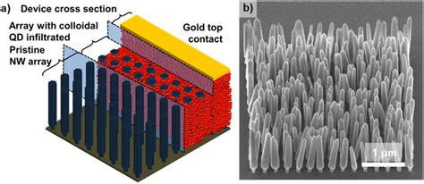 zno nanowire arrays for qd based pv devices a schematic of an ideal
