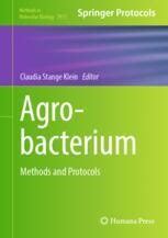 Agrobacterium Methods And Protocols SpringerLink