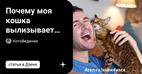 Почему моя кошка вылизывает меня Некоторые причины могут вас удивить