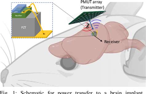 Figure 1 From Analysis And Design Of A Pmut Based Transducer For Powering Brain Implants