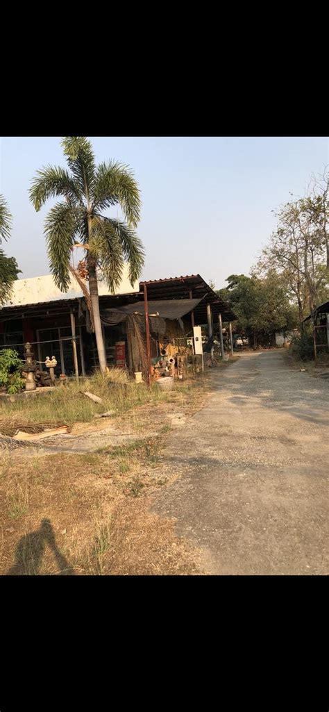 ขายที่ดิน 4 ไร่ 2 งาน31ตรวา ขายไร่ละ 5 500 000 ต่อลองได้ อยู่ติดถนนสาย พิษณุโลกอุตรดิตถ์ Ennxo