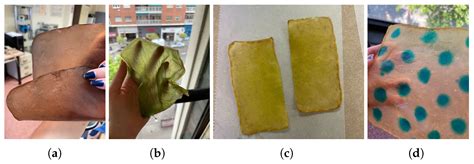 Bacterial Cellulose Production Within A Circular Economy Framework