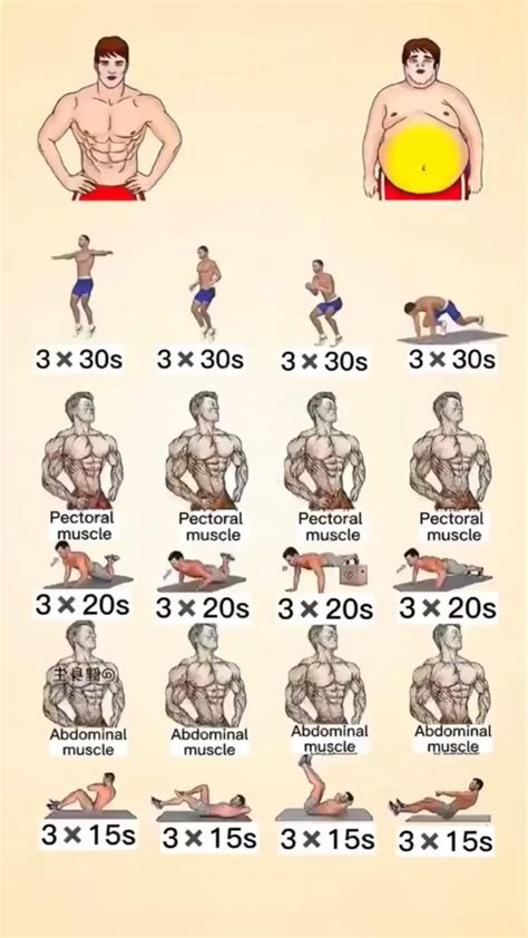 Pin On Exercices Abdos