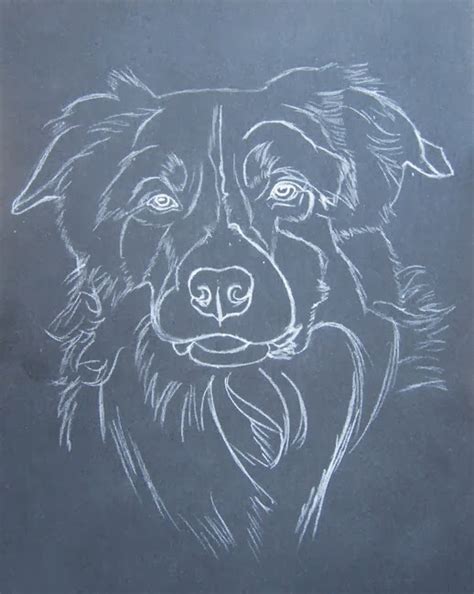Blog Du Peintre Animalier Cindy Barillet Portraits Danimaux