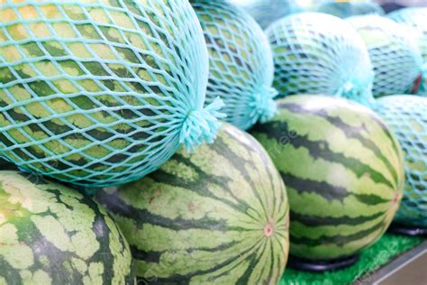 수박 사진 및 무료 다운로드를위한 그림 Pngtree