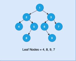 Print All Leaf Nodes Of A Binary Tree Helpmestudybro