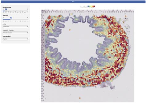 Shiny App Visualization Seurat Integrated Single Cell Identities Have Download Scientific