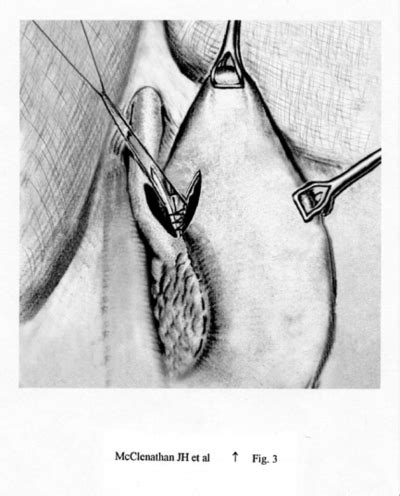 Internet Scientific Publications Internet Scientific Publications