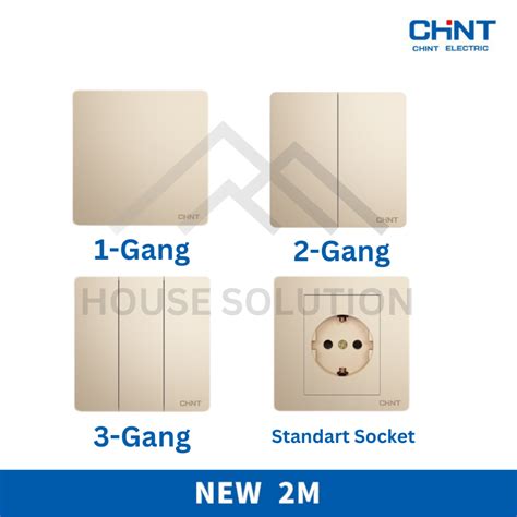 Chint 2m Gold Series 1 Gang 2 Gang 3 Gang Socket Standard