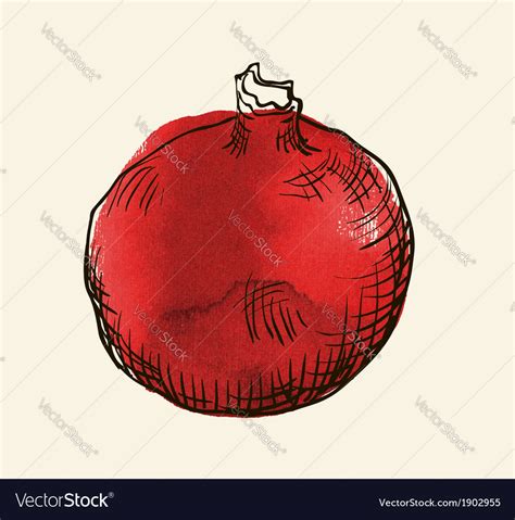 Garnet Sketch Royalty Free Vector Image VectorStock