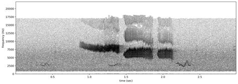 Manipulating Audio Annotations — Opensoundscape 091 Documentation