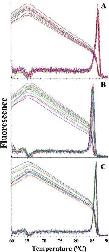 Standard Curves Generated From Triplicate Serial Dilutions Of Genomic Download Scientific