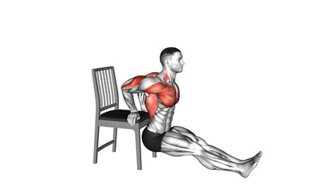 Chair Dip Exercise Video Guide And Tips For Floor Workout