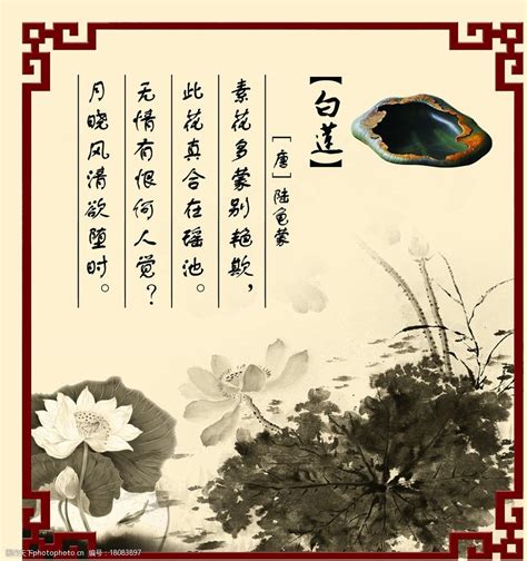 古诗古画古香古色唐代陆龟蒙白莲图片图片 图行天下素材网