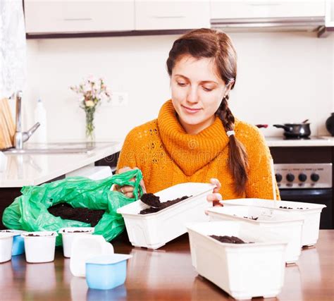 Girl Planting Seeds In Pots Stock Photo Image Of Gardening Foundation