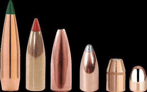 Download Various Bullet Types Comparison