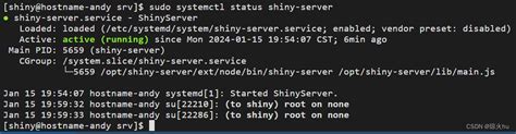R Shiny网页在服务器的部署shiny Server Csdn博客