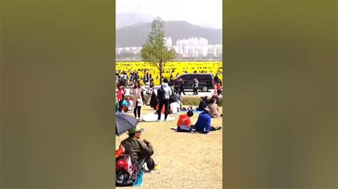 가시버시 나훈아 부산낙동강유채꽃 축제 2018 Youtube