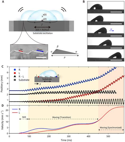Propulsion Of An Oscillating Water Droplet A Schematic Of An Download Scientific Diagram