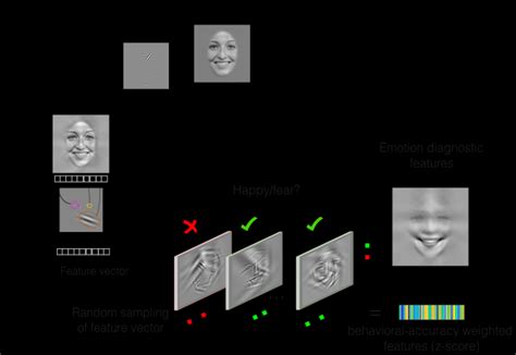 Stimuli Creation And Experimental Paradigm A A Face Image Is Fitted Download Scientific