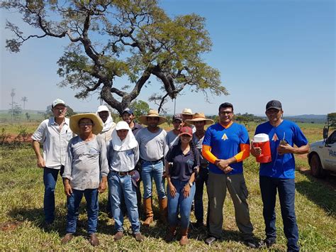 Equipe Do Campo Participa De Curso Combate A Incêndios Florestais