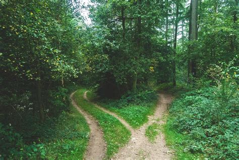 beginner s guide to hierarchical classification by manish prasad medium