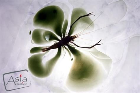 Isabelle Lesser On Linkedin Repost Water Photographers Watercolor Water Life Pollution…