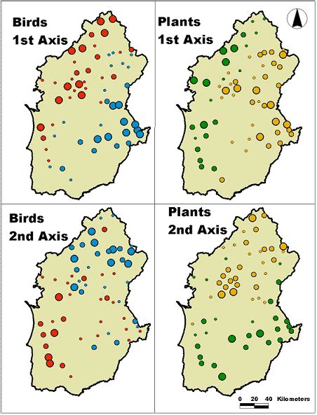 How To Achieve Activity Sizing In QGIS Geographic Information Systems Stack Exchange