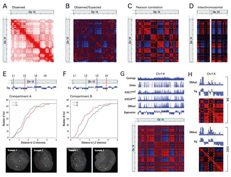 In 2009 High Throughput Sequencing Gave Us Our First Glimpse Of The 3