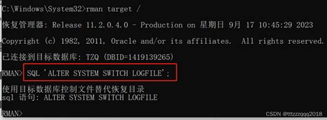 【oracle】oracle Rman工具使用（真的细） Csdn博客